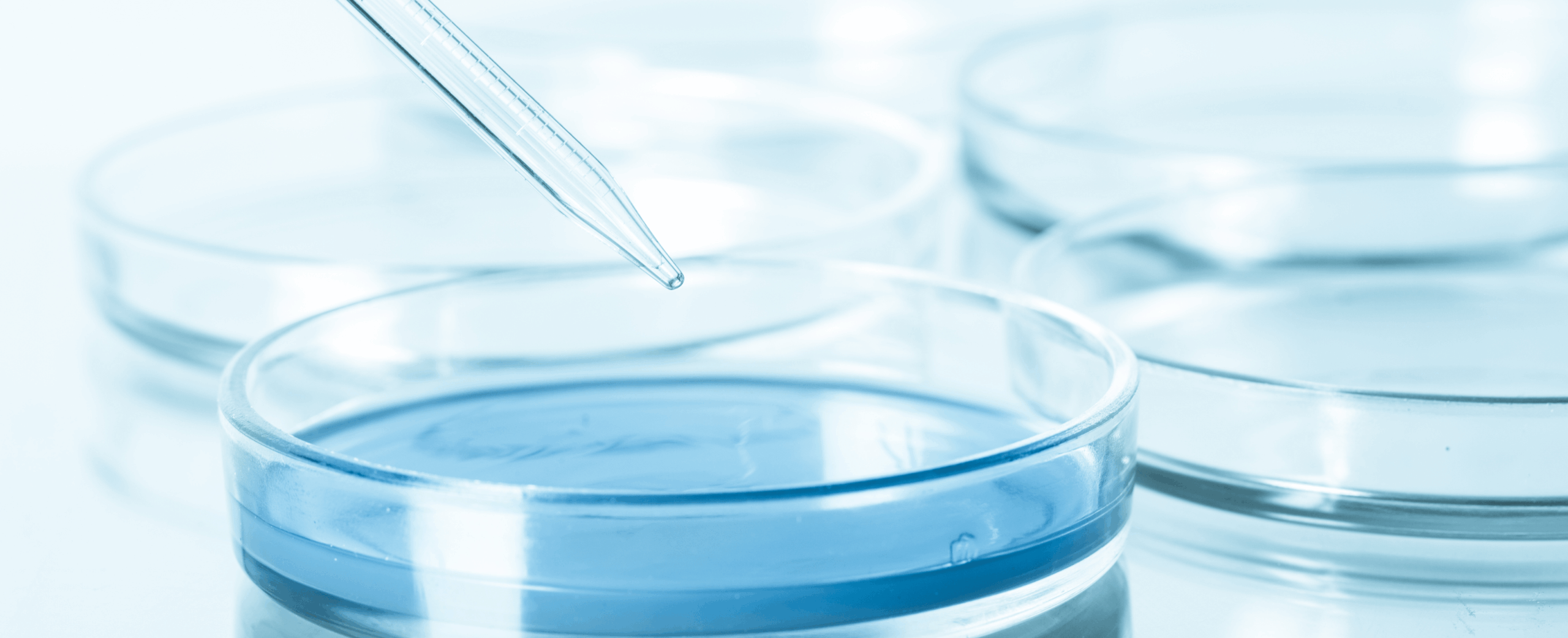 Biotechnology Patent & Trade Mark Attorneys - Mathys & Squire LLP